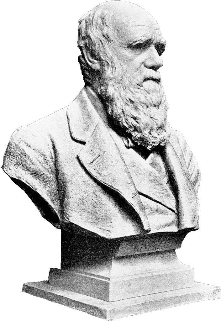 Šta su to mutacije? - Teorija Evolucije
